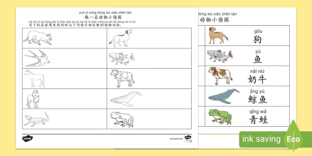 * NEW * * Singapore version Animal Read and Write the Room Activity*