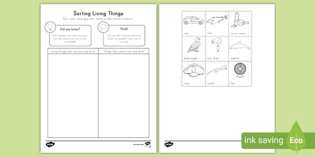Living and Nonliving Things Sorting by Eating and Drinking Activity