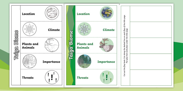 Taiga Biome Flap Book (teacher made)