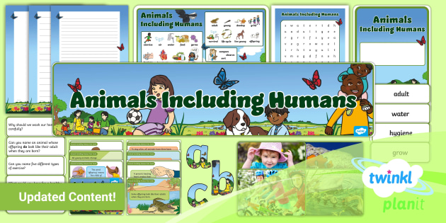 Science: Animals Including Humans: Additional Resources Year 2
