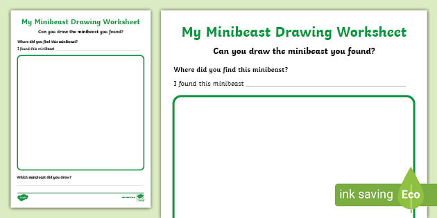 My Minibeast Drawing Worksheet (teacher made)