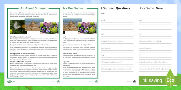 Summer Differentiated Reading Comprehension Activity English/Afrikaans