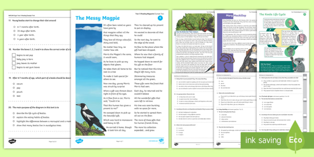 * NEW * NAPLAN-Style English Example Tests - Set 2 Year 5