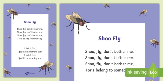 Shoo Fly Display Poster (creat de profesori)