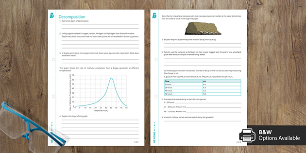 Decomposition Worksheet | AQA GCSE Biology | Beyond