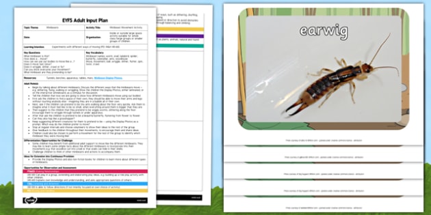 Minibeast Movement Activity EYFS Adult Input Plan and Resource Pack ...