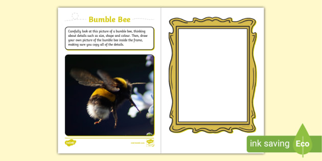 * NEW * Bumble Bee Drawing Activity | KS1 Art (teacher made)