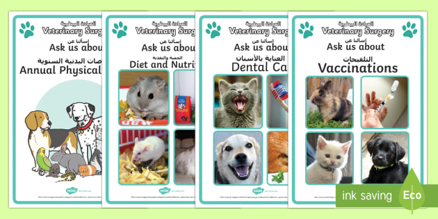 Vets Surgery Advice Display Posters English/Arabic - Vets Surgery Advice