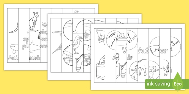 Animal Needs Agamographs Colouring Pages (teacher made)