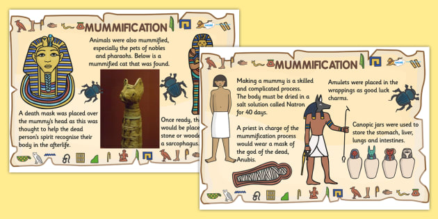 Mummification Posters (teacher made)