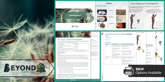 Seed Dispersal Lesson Pack | Science Home Education | Beyond