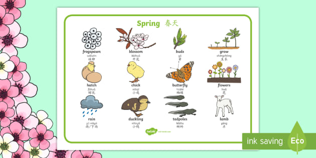 Spring Word Mat - English/Mandarin Chinese/Pinyin