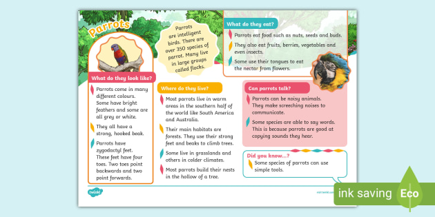 Animals Fact File • Twinkl.ca