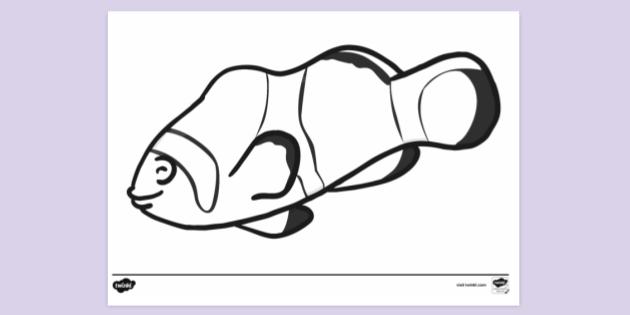 FREE! - Young Clown Fish Colouring | Colouring Sheet
