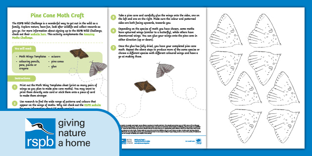 FREE! - Pine Cone Moth Craft Activity | RSPB Resources | Twinkl