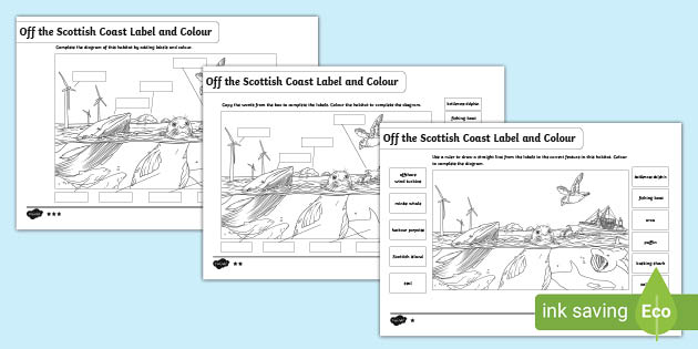 Scottish Coast Label and Colour Worksheet | CfE Resources