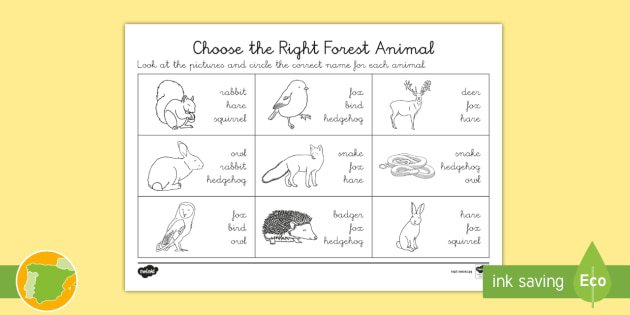 A1 Ficha de actividad: Elige el animal del bosque correcto - Inglés