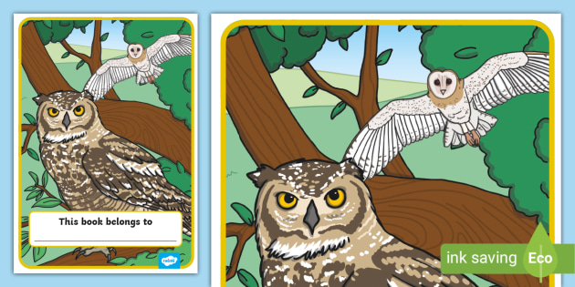 FREE! - Owl Themed Book Cover (teacher made)