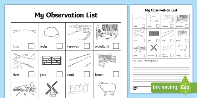 Local Walk Observation Sheets