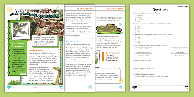 Snakes Reading Comprehensions | twinkl.com.au