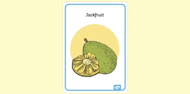 Jackfruit Poster Display | Primary Resources