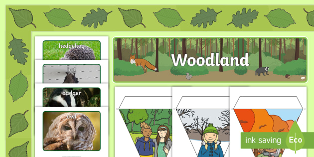 Outdoor Learning Display Pack - Classroom Display Resources