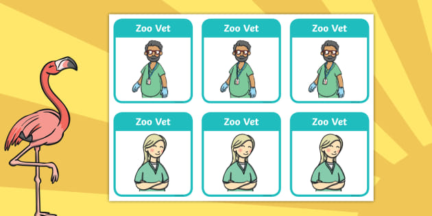 The Zoo Vet Role-Play Badges (teacher made)