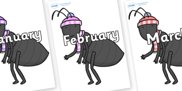 FREE! - Months of the Year on Ant (teacher made)