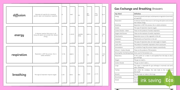 Gas Exchange Loop Cards (teacher made)
