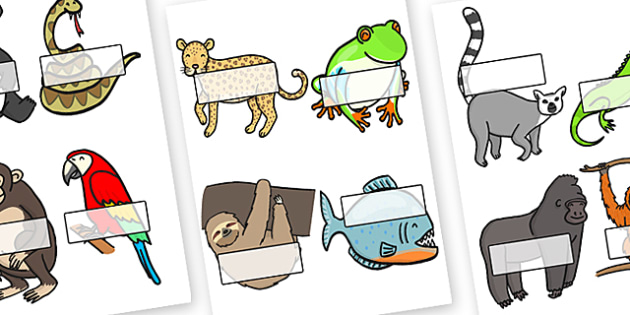 FREE! - Editable Self-Registration Labels (Jungle & Rainforest)