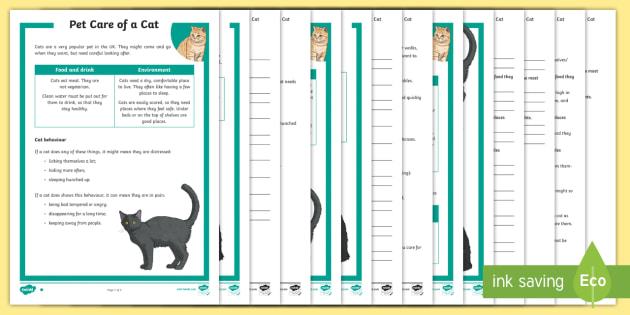Pet Care of a Cat Differentiated Reading Comprehension Activity