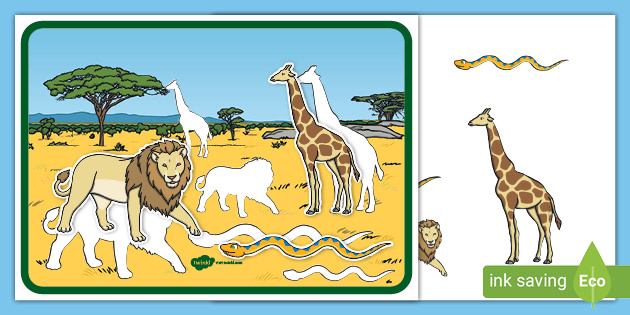 👉 Animal Size Matching Activity (teacher made)