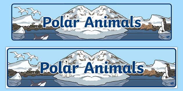 FREE! - Polar Animals Display Banner (teacher made)