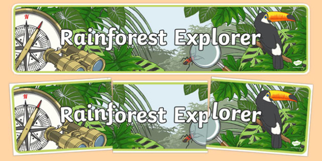 Rainforest Explorer Role Play Display Banner (teacher made)