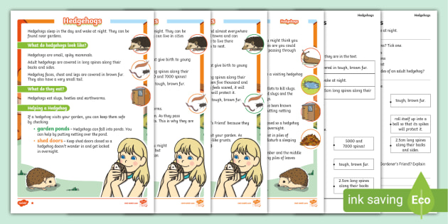 Helping Hedgehogs Reading Comprehension Activity