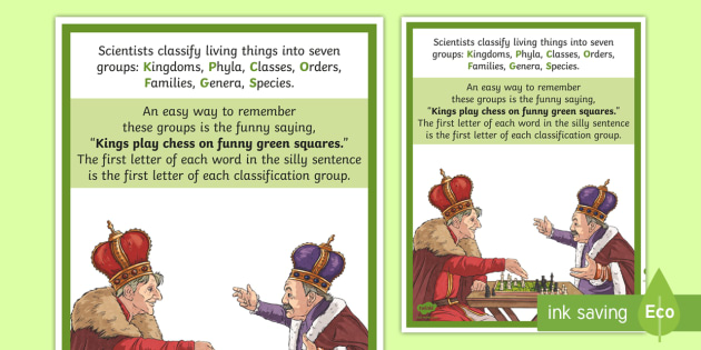 Taxonomy/Classification Poster