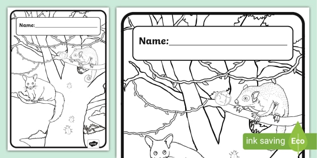 FREE! - Possum Colouring Book Cover (teacher made)