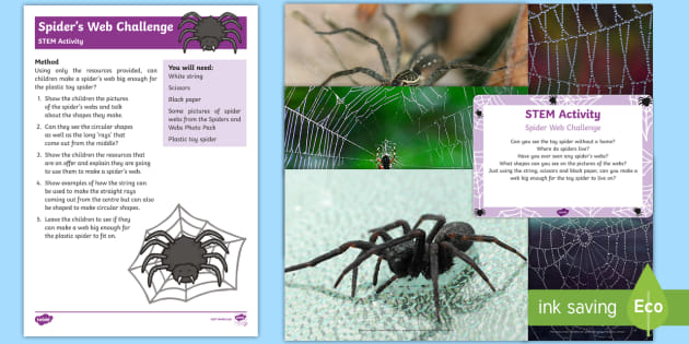 Spiders Web STEM Activity and Prompt Card Pack