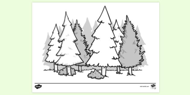 FREE! - Forest Colouring | Colouring Sheets (teacher made)