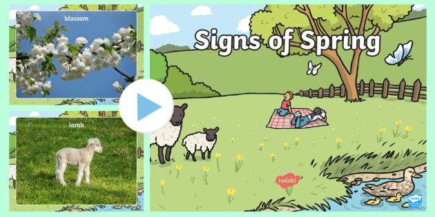 Signs of Spring PowerPoint Presentation - Primary Resources