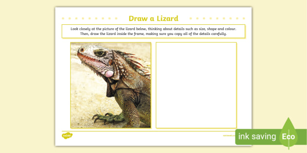 Draw a Lizard Art Activity (teacher made)