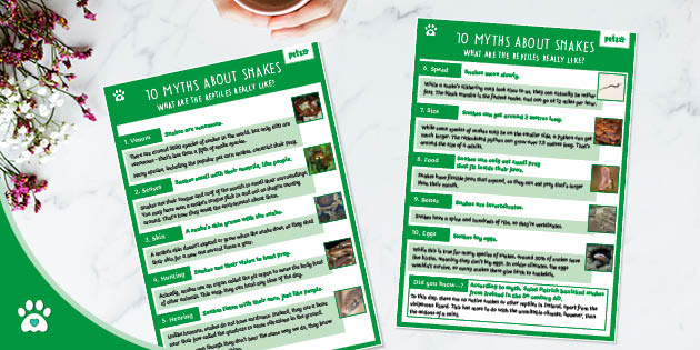 10 Myths about Snakes - Infographic - Snake Facts - Pets