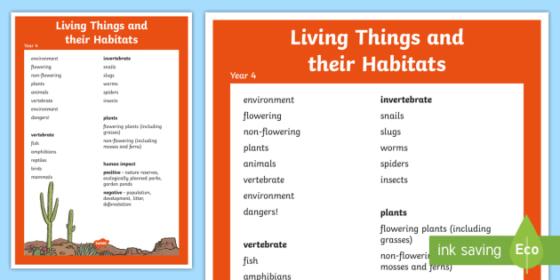 Year 4 Living Things their Habitats Scientific Vocabulary Poster