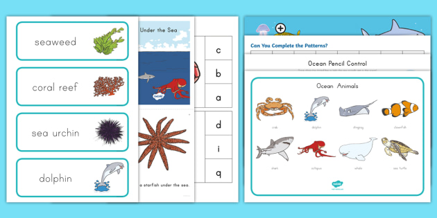 Ocean Habitat Early Childhood Resource Pack - ocean, Ocean