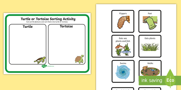 Turtles or Tortoise Sorting Activity