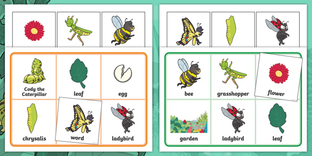 The Cautious Caterpillar Matching Cards and Board Game