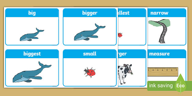 Size Word Cards Stick and Ball (teacher made)