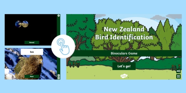 New Zealand Bird Identification Binoculars Game