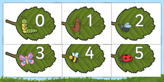 Numbers 0-30 on Minibeasts -minibeasts, Foundation Numeracy