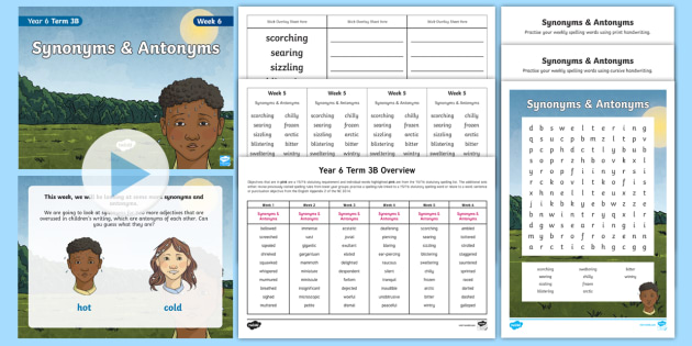 Year 6 Term 3B Week 5 Spelling Pack (teacher made)